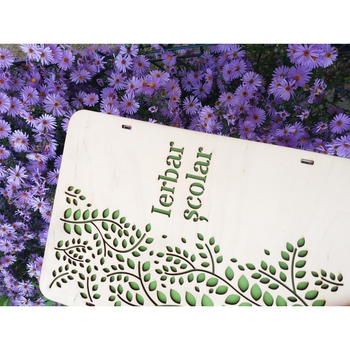 Ierbar Scolar din Lemn Decupat - eMAG.ro