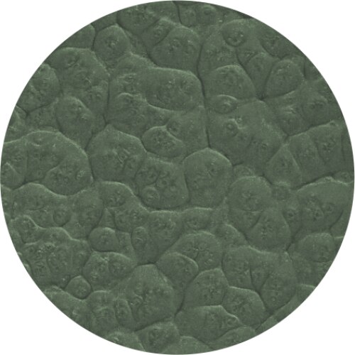 Email Hammer verde luminos 2.5L - eMAG.ro