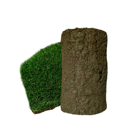 Gazon natural rulat OxyGazon tip Royal Umbra, 1 palet x 30 mp - eMAG.ro