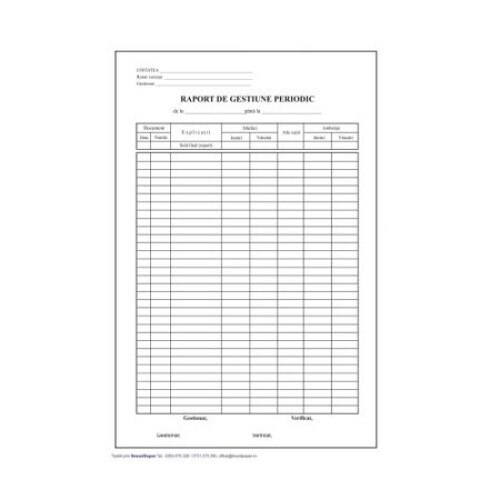 Set de 10 Carnete de Raport de Gestiune Periodica, Format A4, 100 File ...