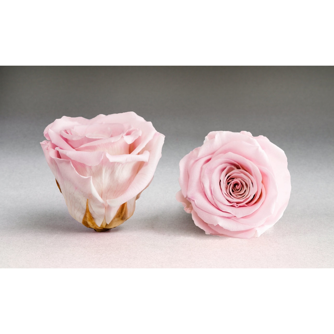 Trandafir criogenat roz, Rose Amor, cupola de sticla inima 9 cm ...