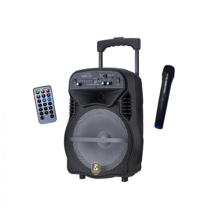 Boxa Activa Cu Statie Tip Troller cu Microfon Wireless, Bluetooth, USB ...