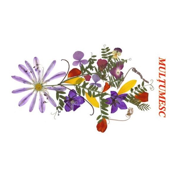 Set 10 Felicitari, Oshi cu Flori, Multumesc, 18b - eMAG.ro