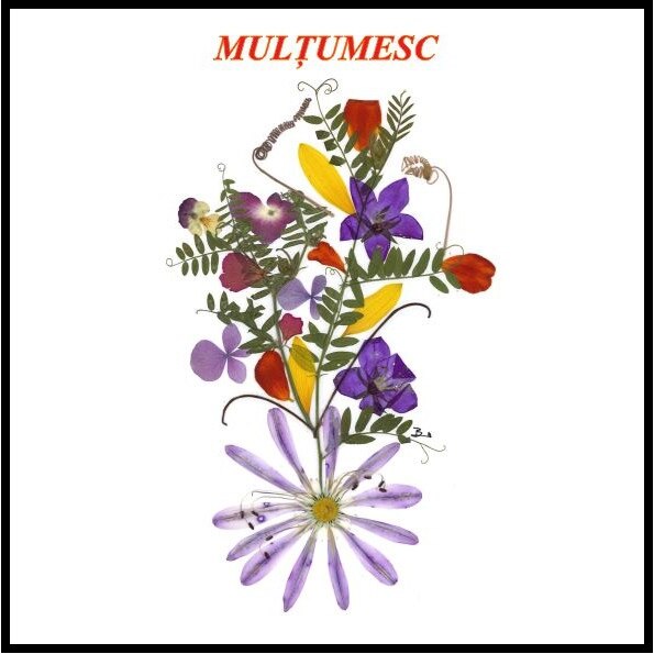 Set 10 Felicitari, Oshi cu Flori, Multumesc, 18b - eMAG.ro