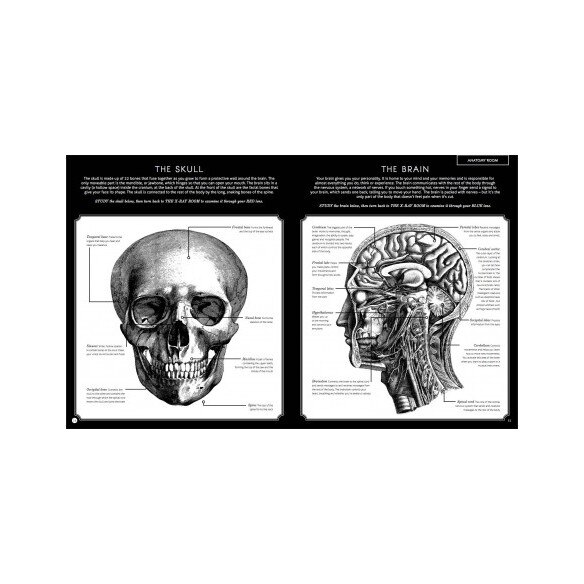 Illumanatomy : see inside the human body with your magic viewing lens ...