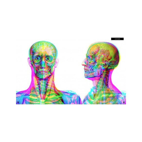 Illumanatomy : see inside the human body with your magic viewing lens ...