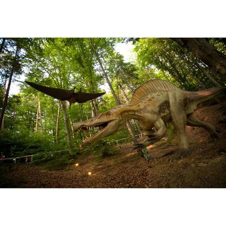 Dino Parc Rasnov, bilet de intrare pentru 1 adult + 1 copil cu varsta ...