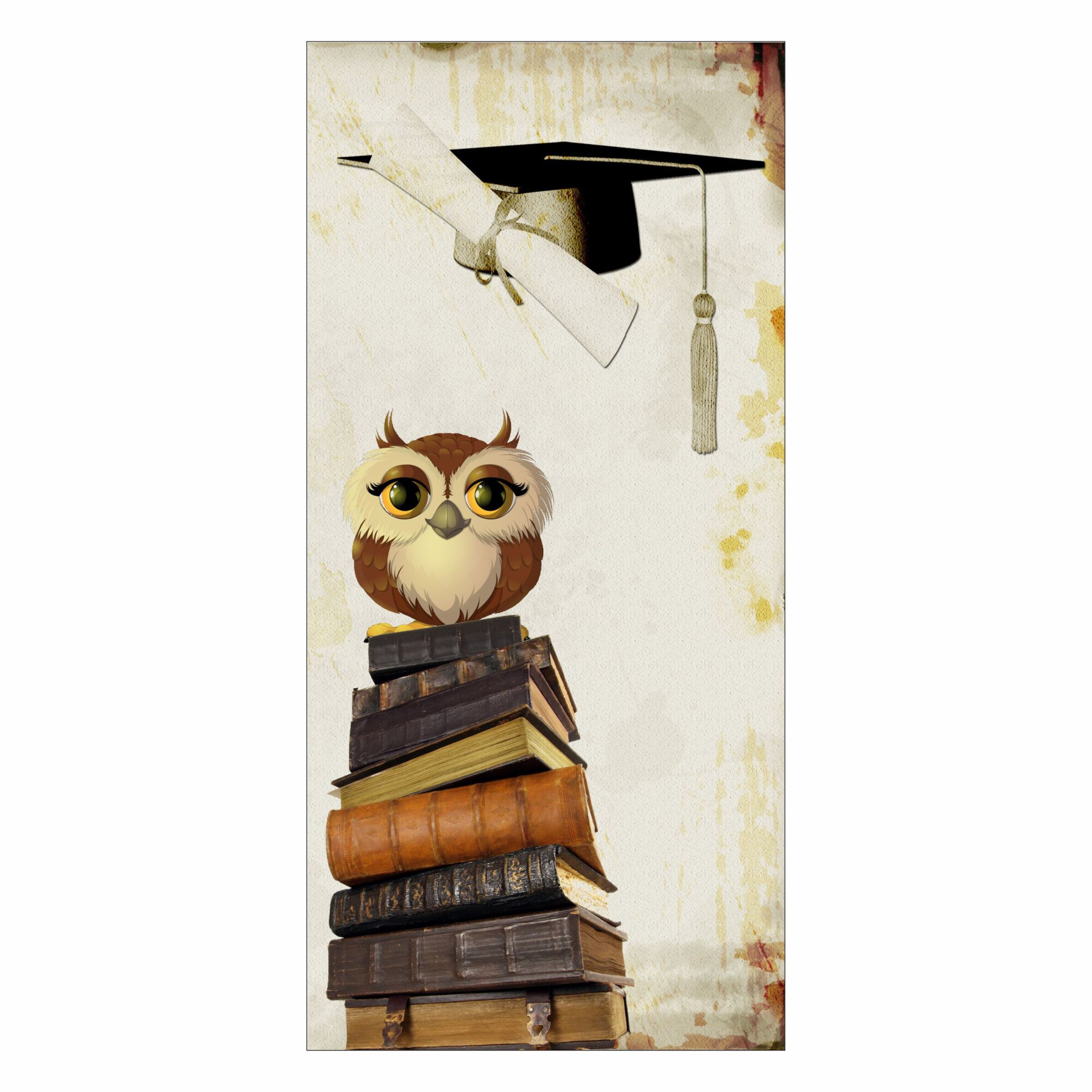 Felicitare cu buzunar - Absolvire - cu bufnita - eMAG.ro