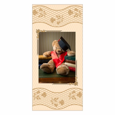 Felicitare cu buzunar - Absolvire - cu ursulet - eMAG.ro