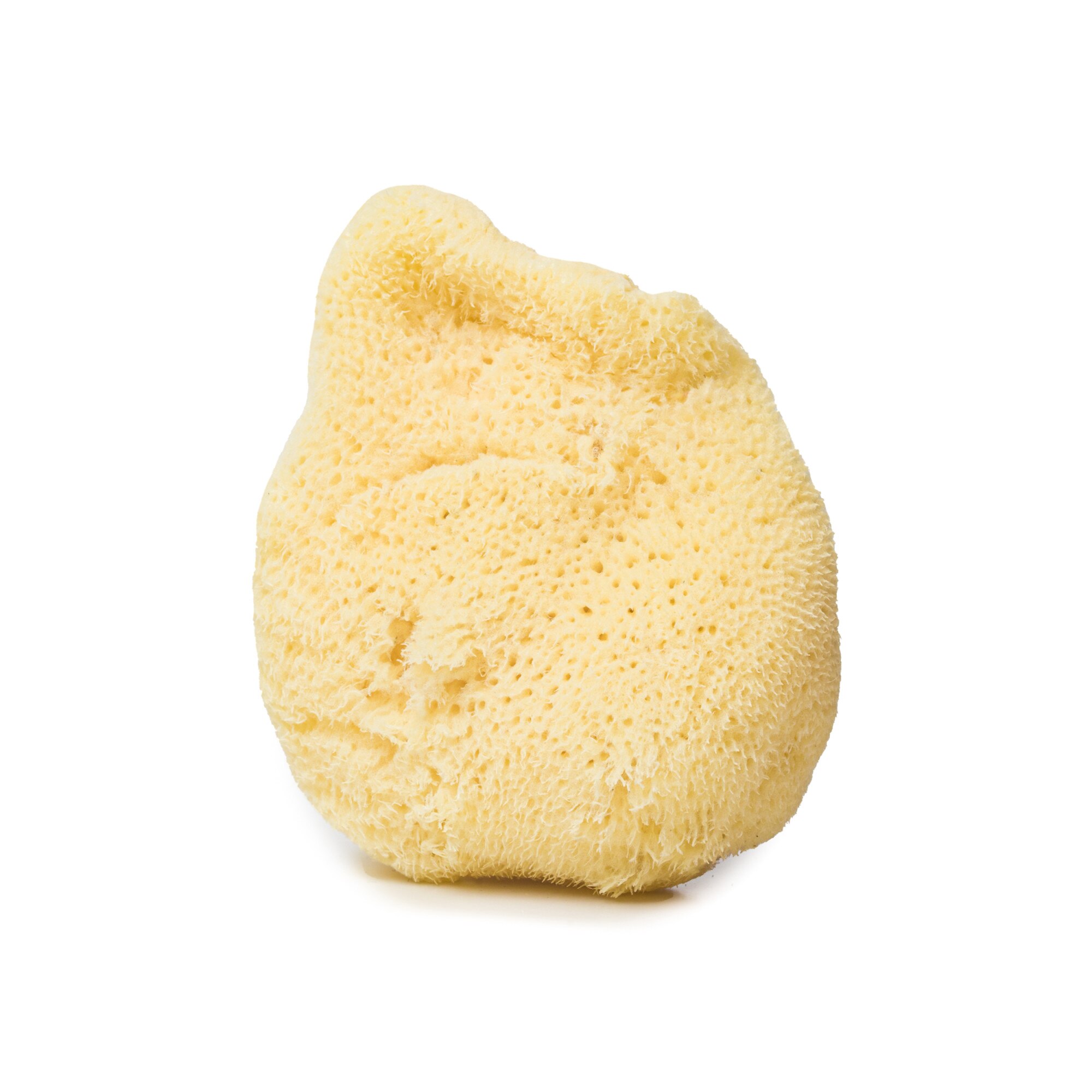 Burete de mare natural pentru curatarea tenului, Naturotto, 5-6 cm ...