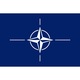 Steag NATO, Metropolis,imprimat, 135x90 cm - eMAG.ro
