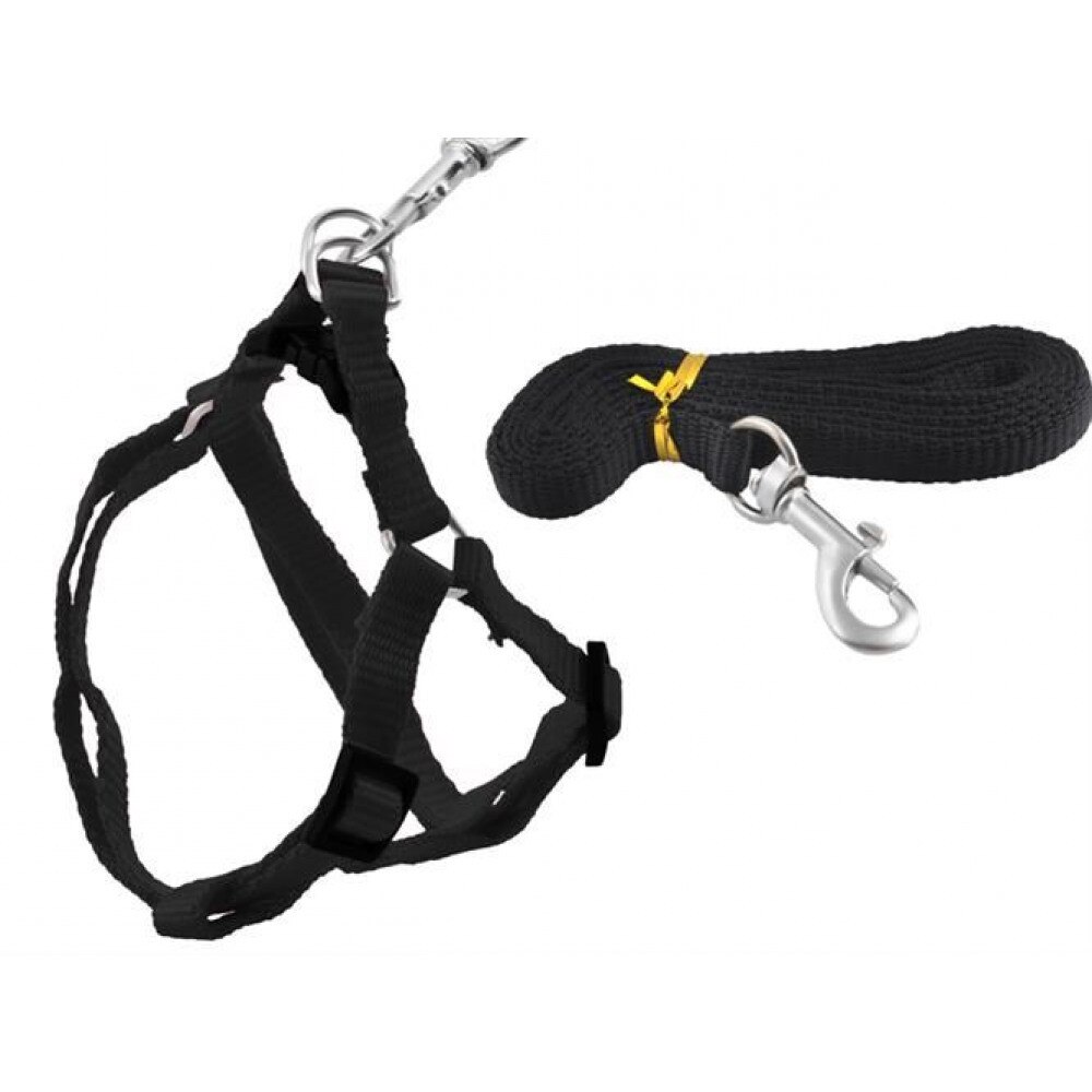 Lesa ham pentru catei - eMAG.ro