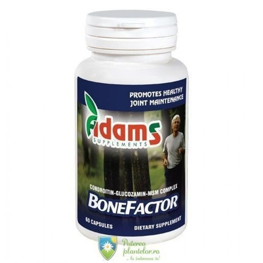 BoneFactor GS Condroitin MSM 60 capsule - eMAG.ro