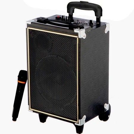 Boxa portabila profesionala Temeisheng cu Mixer si Microfon Wireless ...