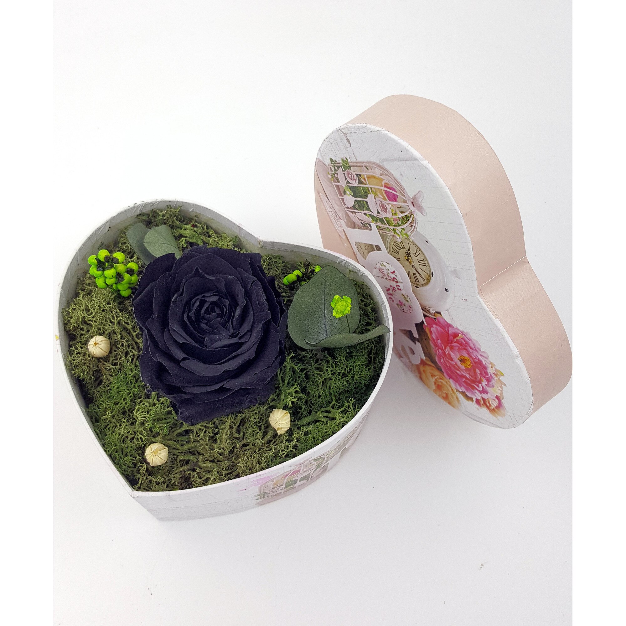 Trandafir Criogenat Wide Flowers, negru, pe pat de muschi stabilizat ...