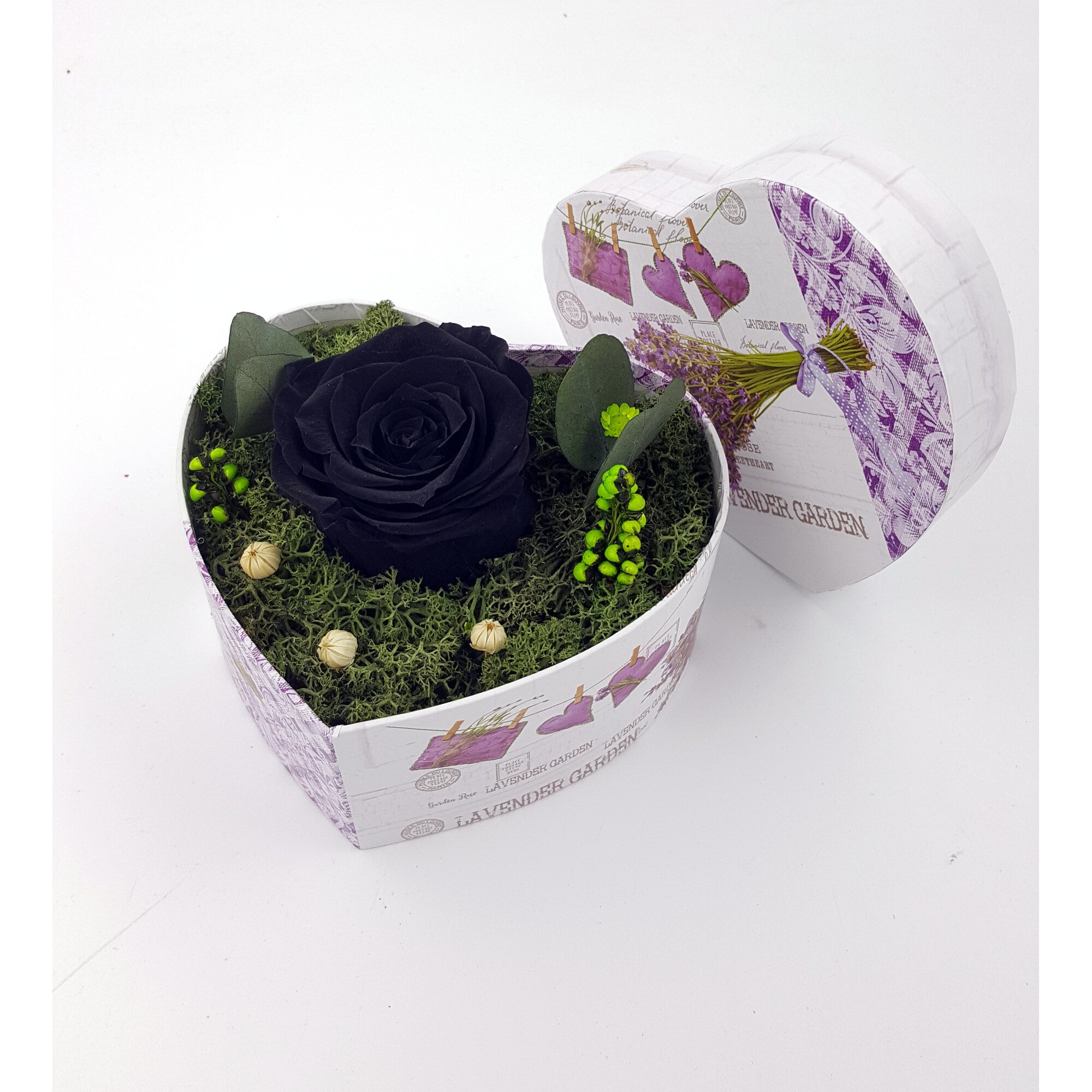 Trandafir Criogenat Wide Flowers, negru, pe pat de muschi stabilizat ...