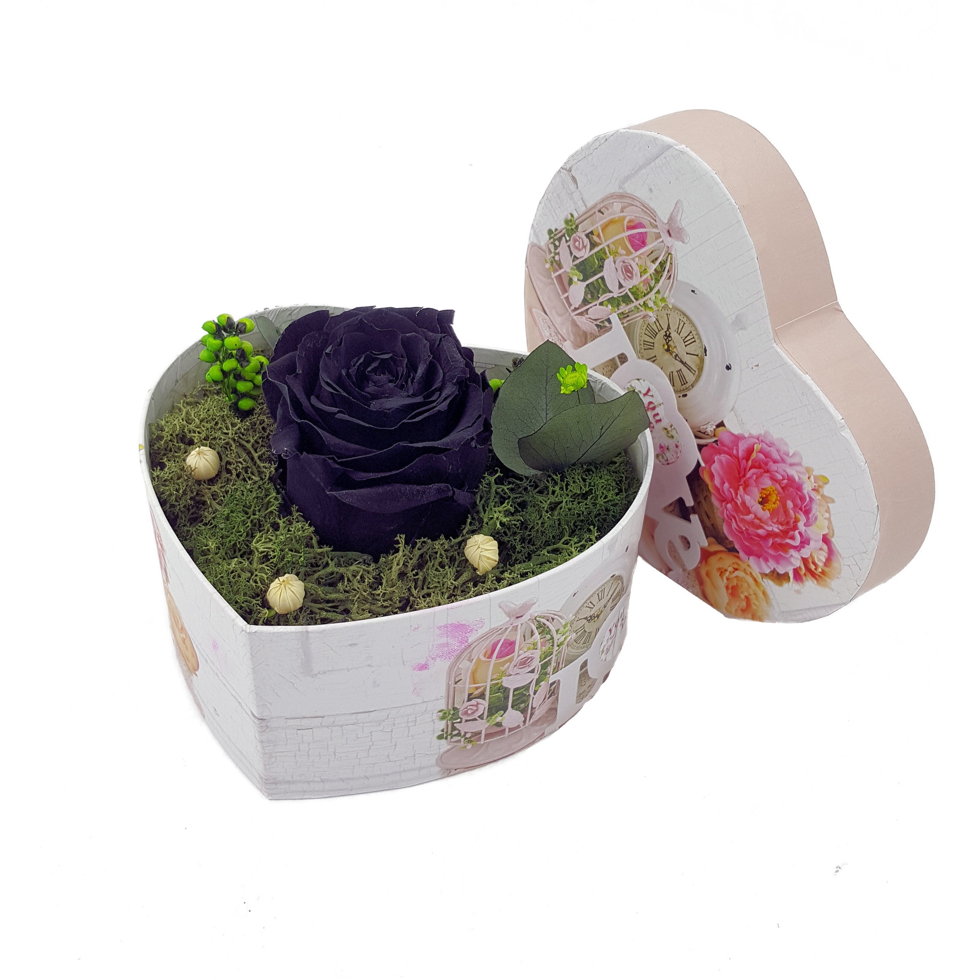 Trandafir Criogenat Wide Flowers, negru, pe pat de muschi stabilizat ...