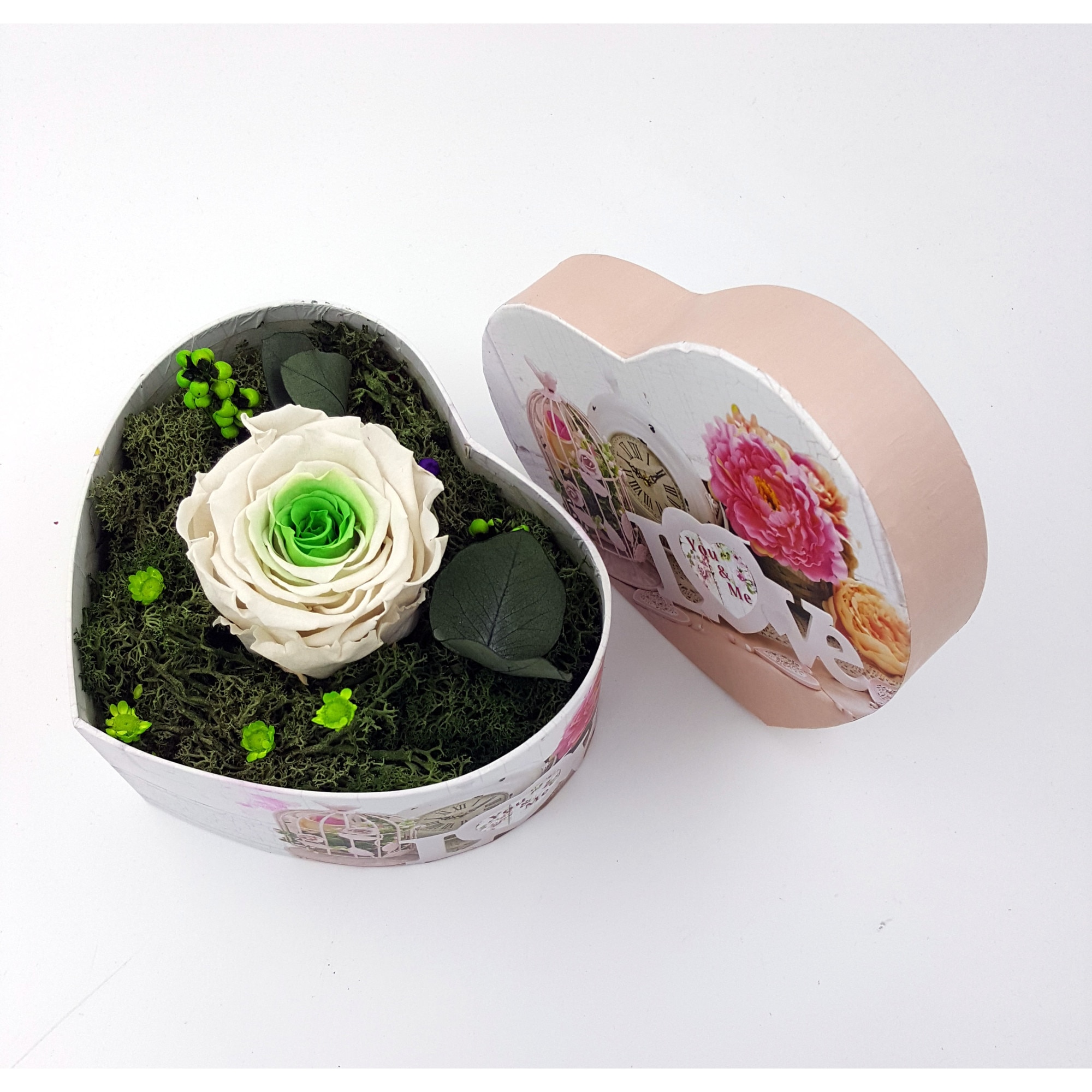 Trandafir Criogenat, alb cu interior verde, pe pat de muschi stabilizat ...