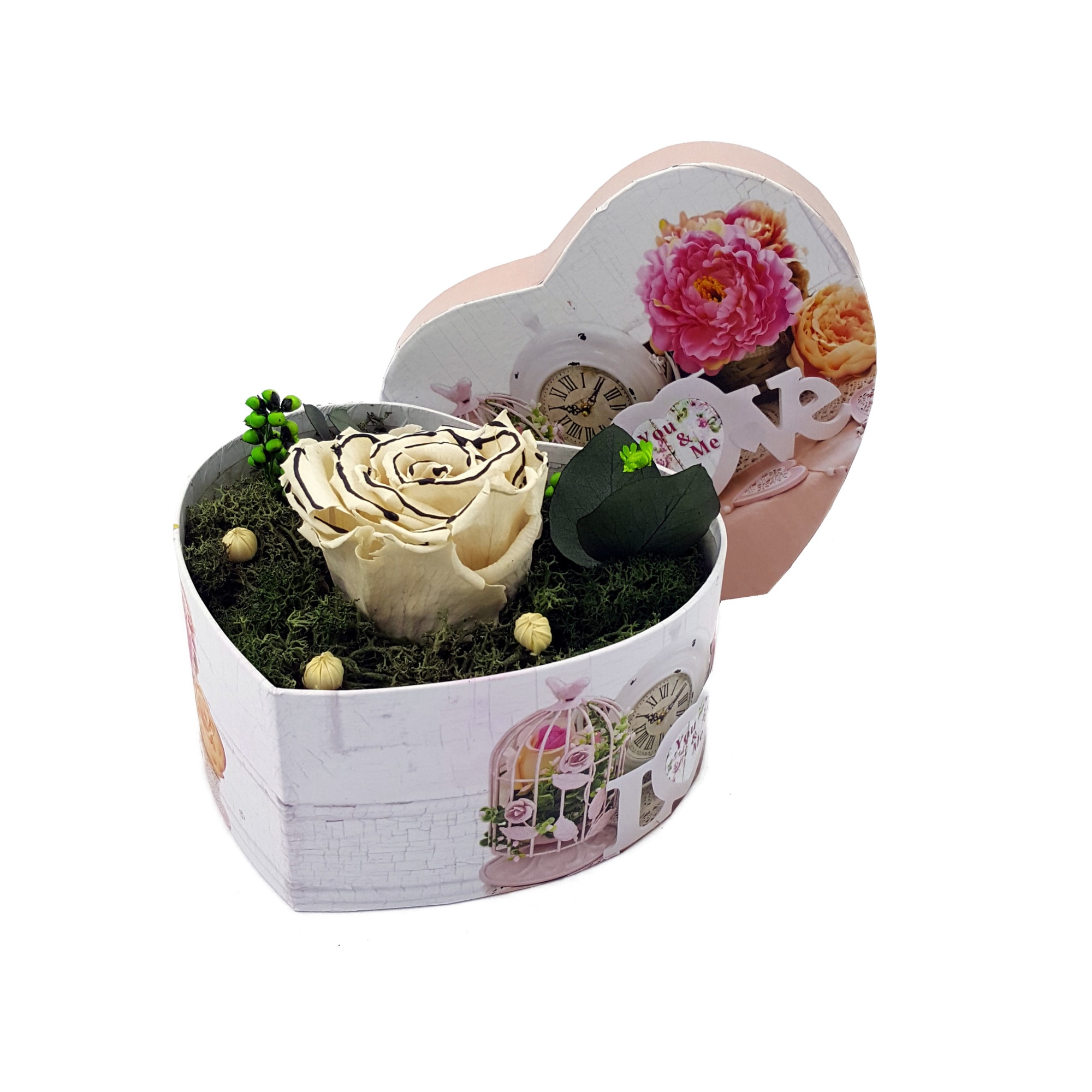 Trandafir Criogenat, alb cu ciocolata, pe pat de muschi stabilizat ...