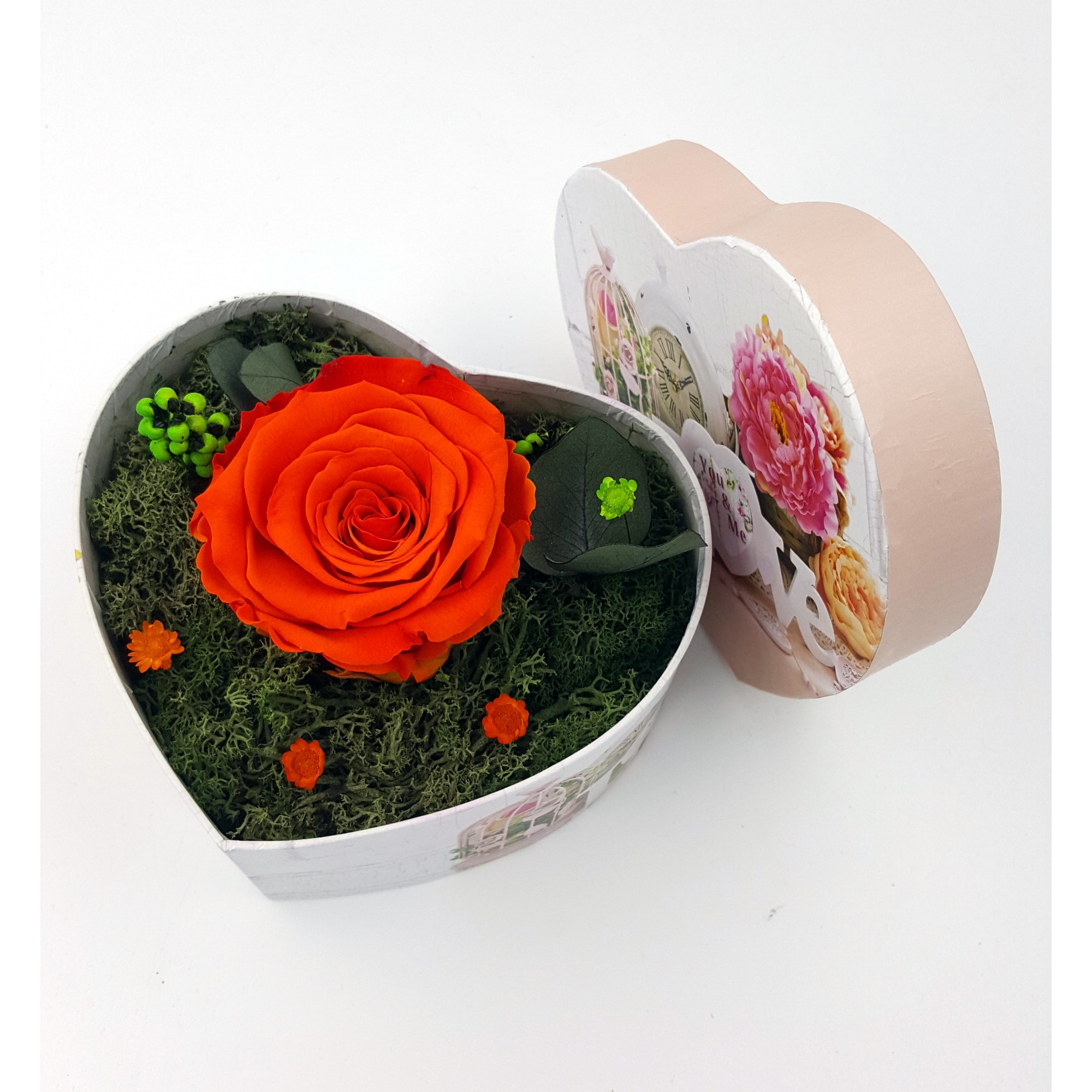 Trandafir Criogenat, portocaliu, pe pat de muschi stabilizat, intr-o ...