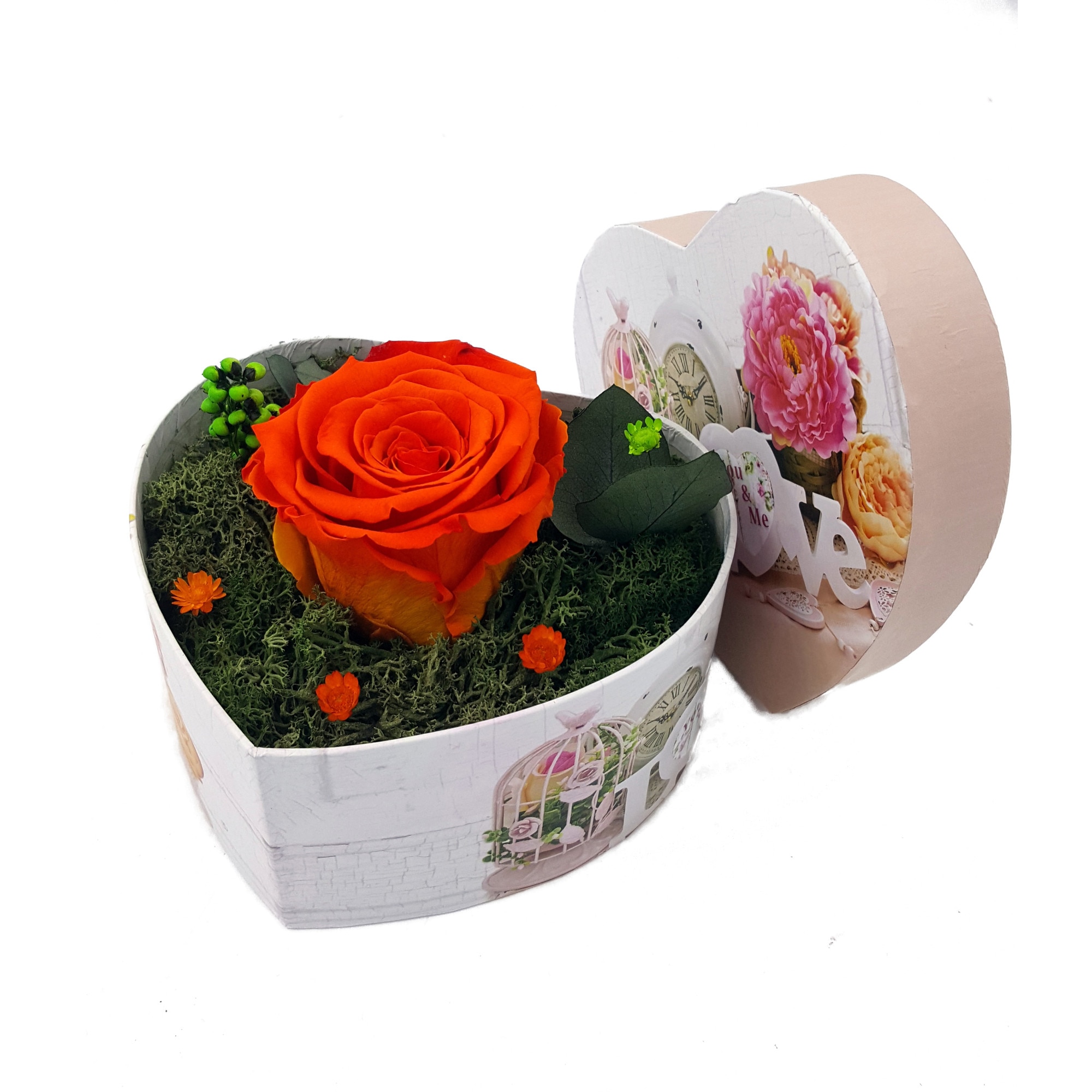 Trandafir Criogenat, portocaliu, pe pat de muschi stabilizat, intr-o ...