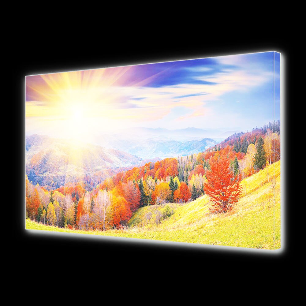 Tablou Canvas Led cu intrerupator, Luminos in intuneric, Premium Art ...