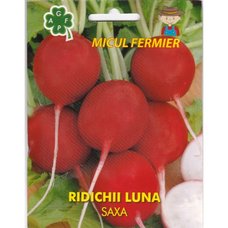 Seminte Ridichi de luna Saxa - eMAG.ro