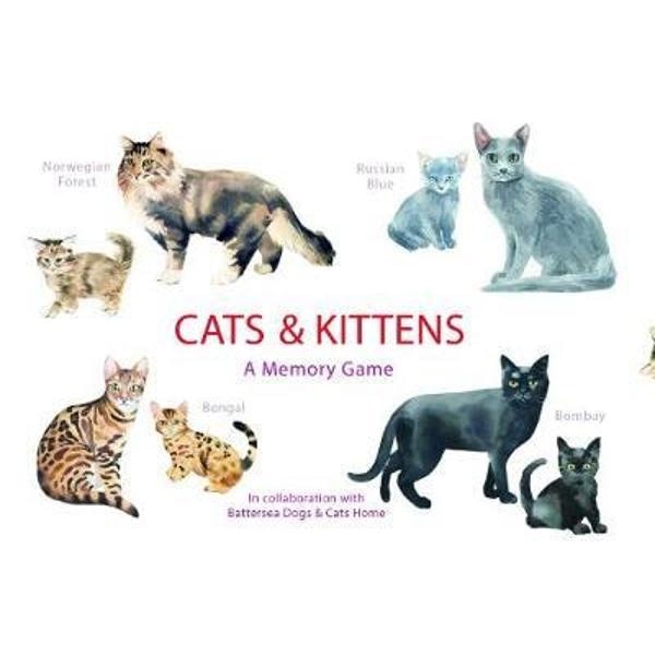 Cats & Kittens - eMAG.ro
