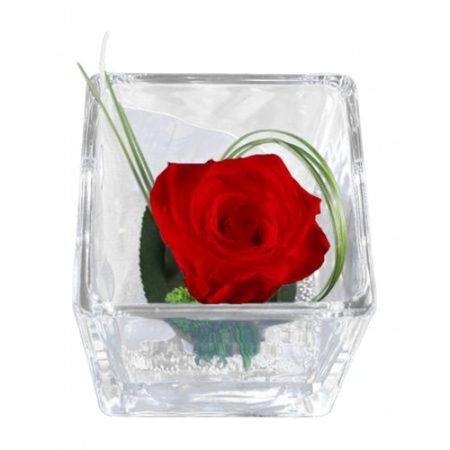 Trandafir criogenat in cub de sticla,martisor - eMAG.ro