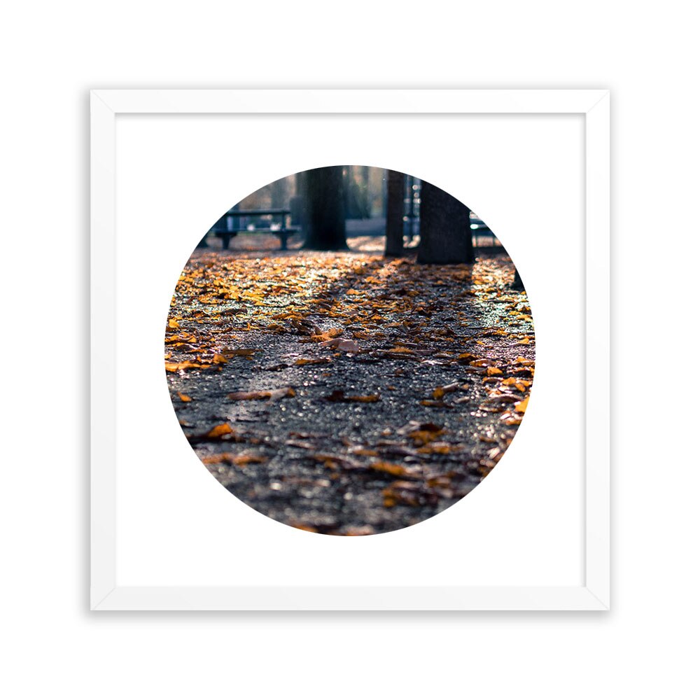 Tablou cu Rama de Lemn Alba Frunze cazute toamna Peisaje Peisaje Arta ...