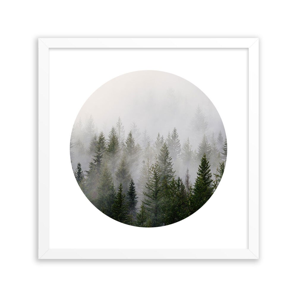 Tablou cu Rama de Lemn Alba Padure de brazi cuprinsa de ceata Peisaje ...