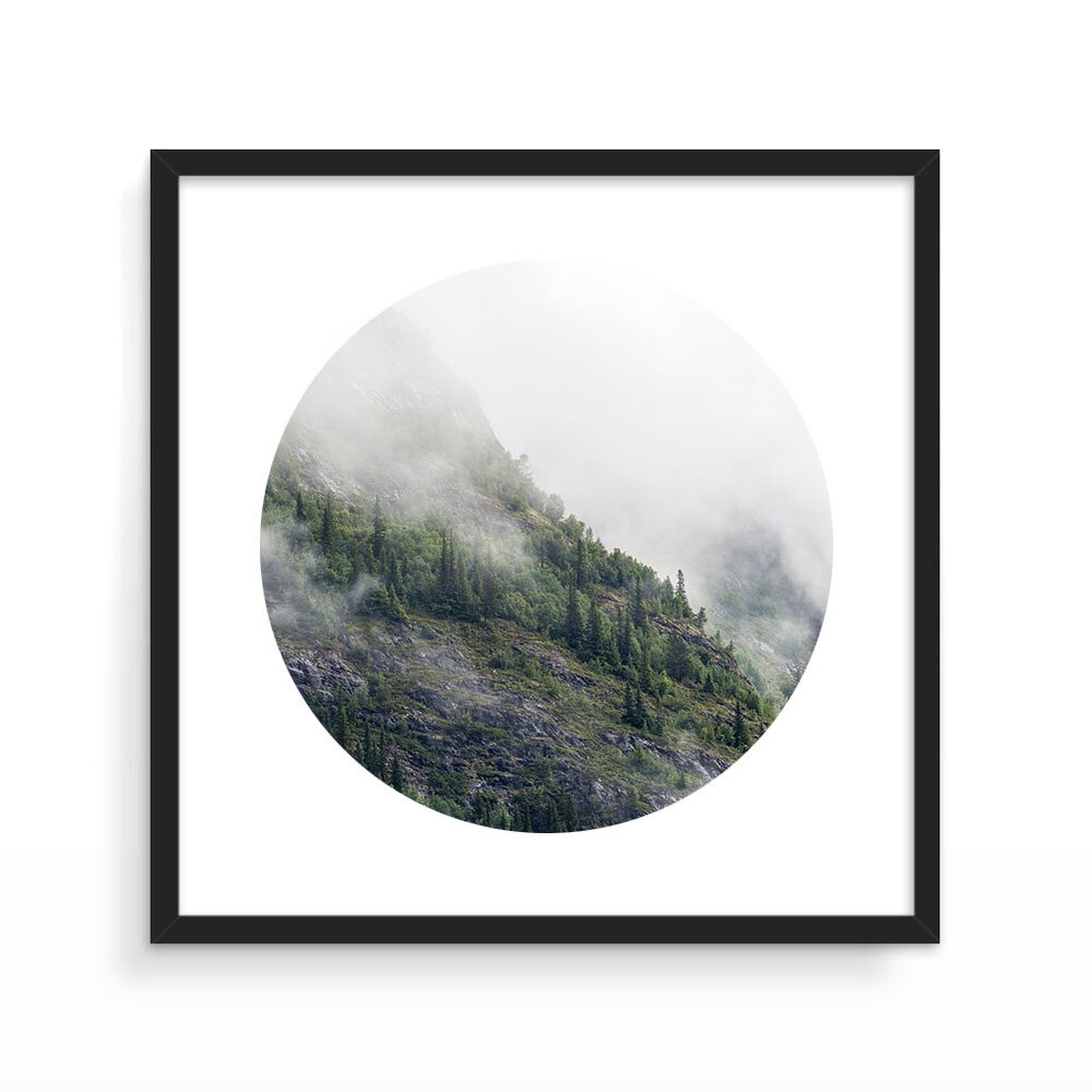 Tablou cu Rama de Lemn Neagra Brazi cuprinsi de ceata Peisaje Peisaje ...