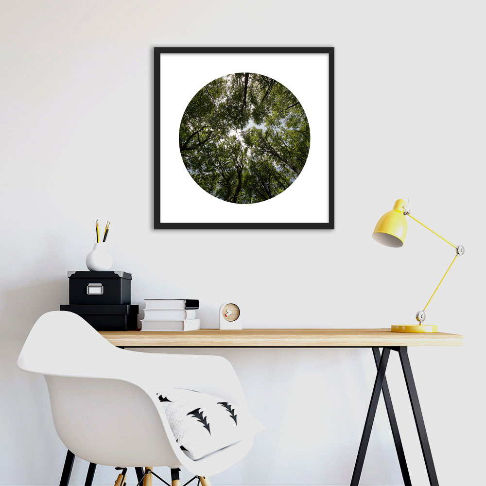 Tablou cu Rama de Lemn Neagra Copaci cu frunze verzi vazuti de jos ...