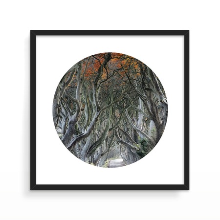 Tablou cu Rama de Lemn Neagra O padure altfel Peisaje Peisaje Arta ...