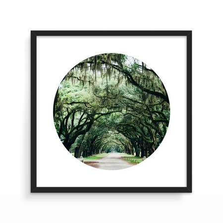 Tablou cu Rama de Lemn Neagra Carare intre copaci Peisaje Peisaje Arta ...