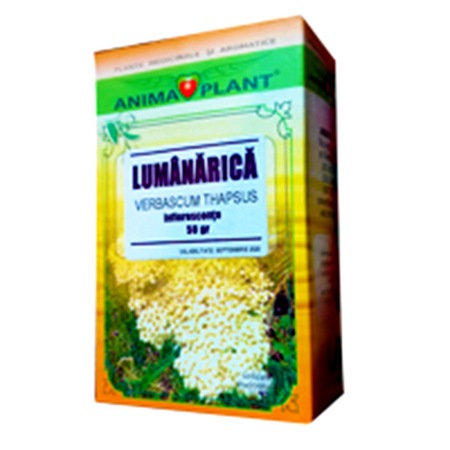Lumanarica, Verbascum thapsus, partea aeriana, planta pentru ceai, 50 ...
