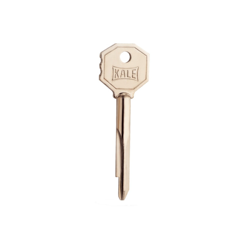 Broasca Kale 201F cu cioc pentru poarta culisanta 130x36 mm - eMAG.ro