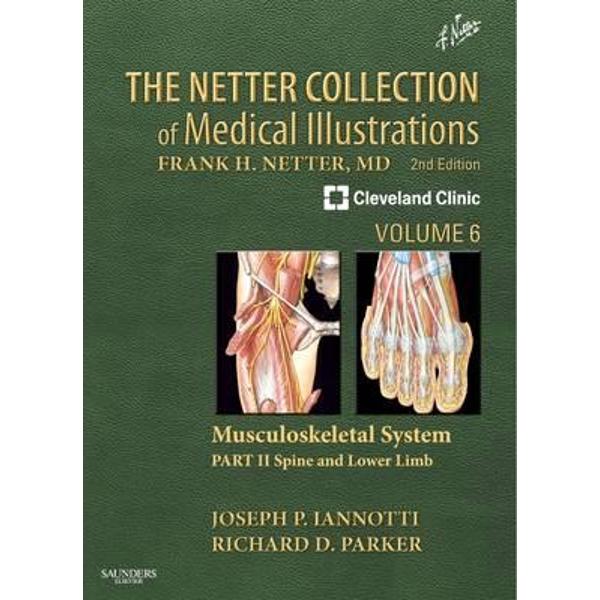 Netter Collection of Medical Illustrations: Musculoskeletal - eMAG.ro
