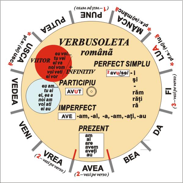 Verbusoleta romana - Camelia Stan, Dragos Stan - eMAG.ro