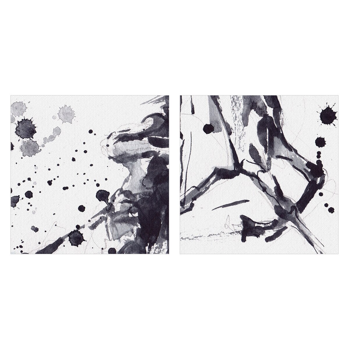 Tablou in rama 55x100 cm, Calaret Alb/Negru, F1BPA55x100-2985 - eMAG.ro