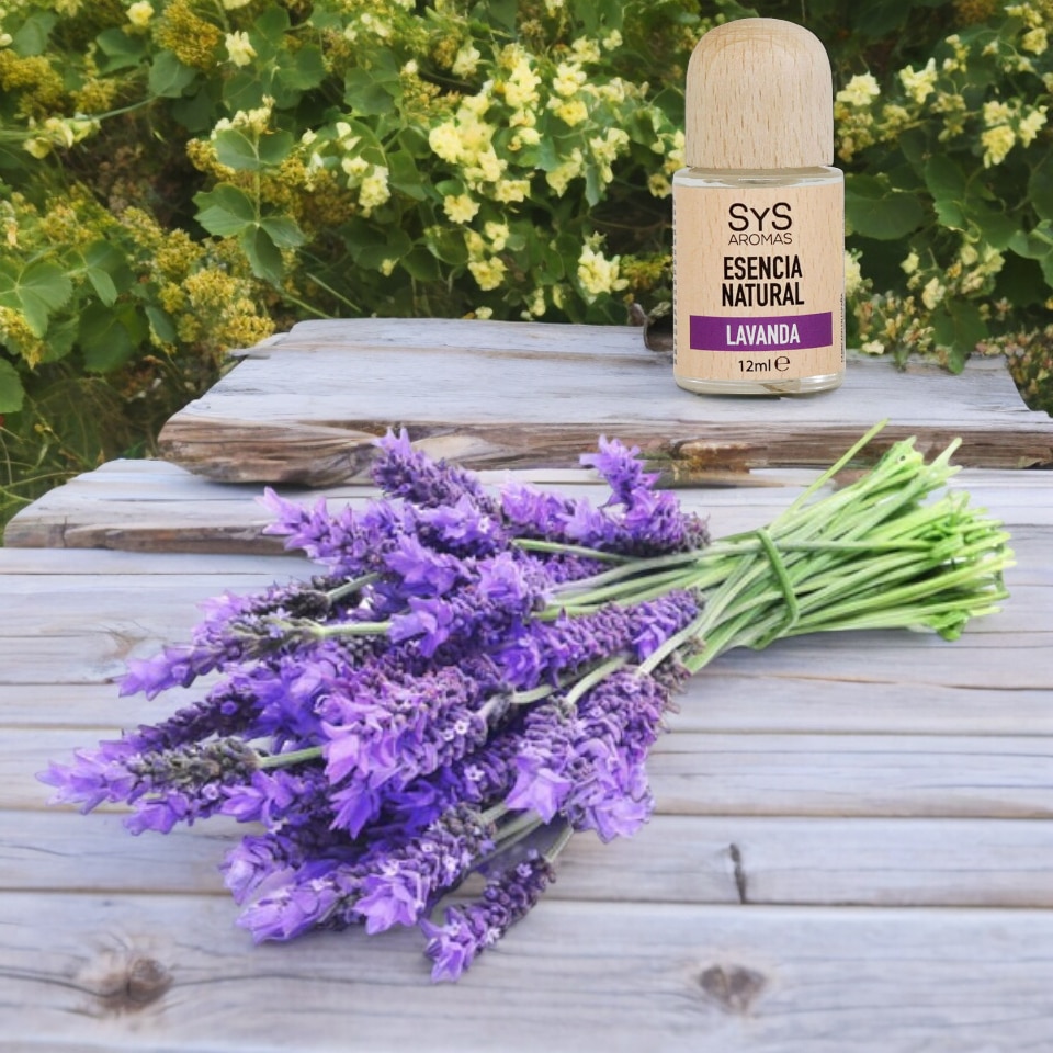Esenta naturala (ulei) aromaterapie SyS Aromas, Lavanda 12 ml - eMAG.ro