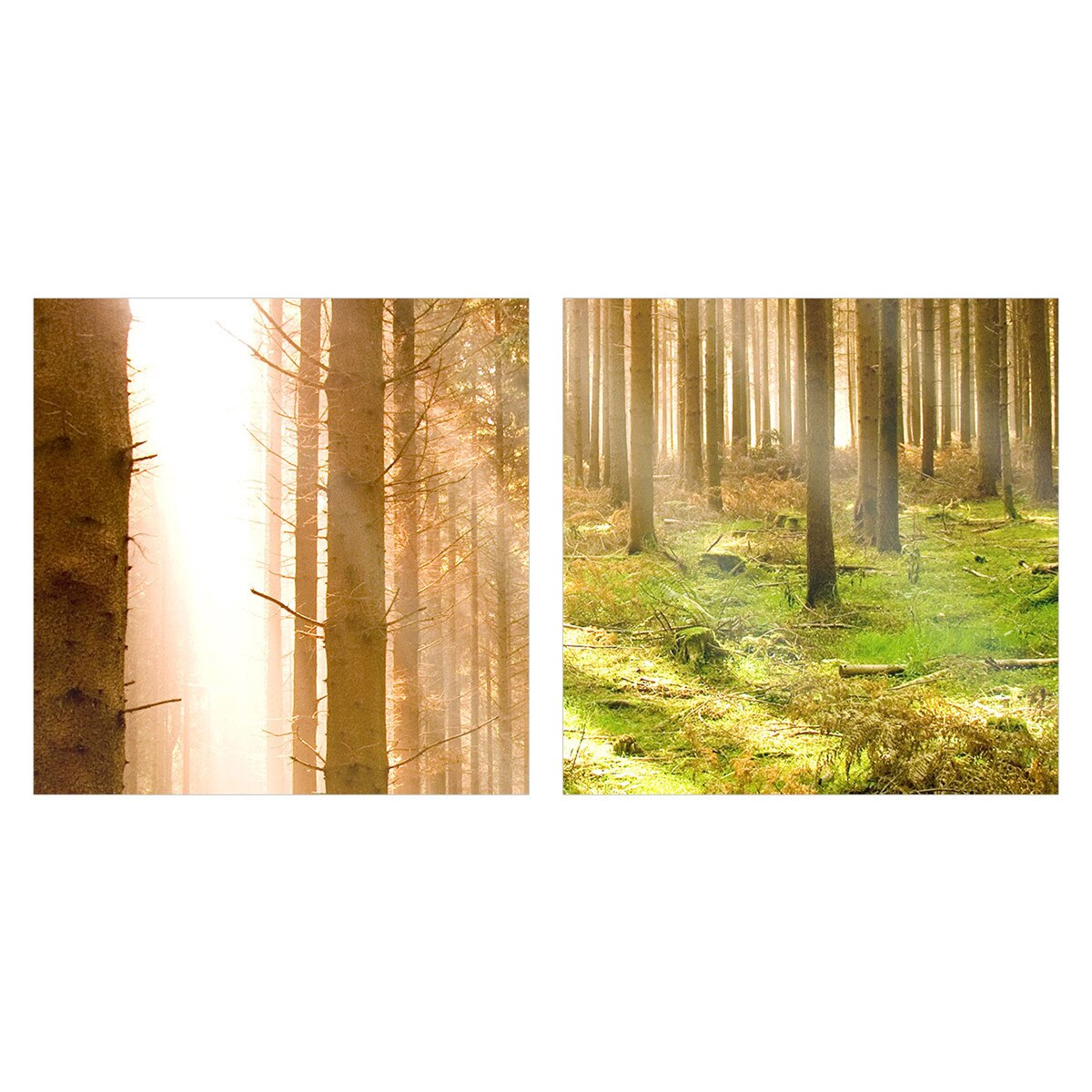 Ceas de perete din sticla 42x42 cm, Raze de Soare Printre Copaci ...