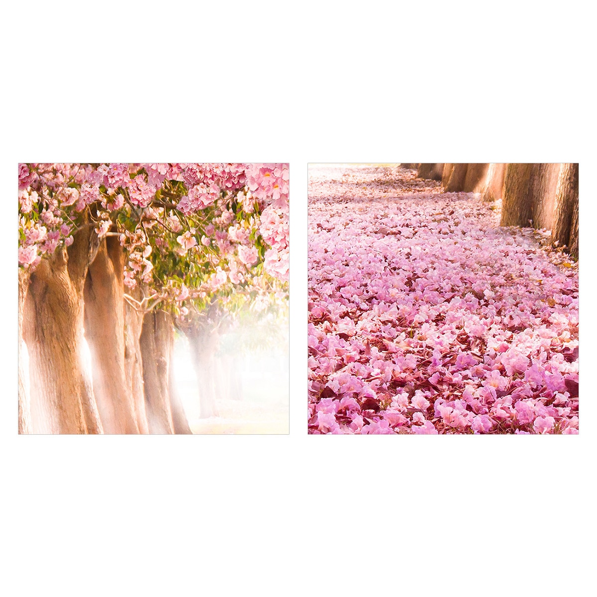 Tablou pe sticla 60x60 cm, Floare Alee Copac, GAC60x60-2794 - eMAG.ro