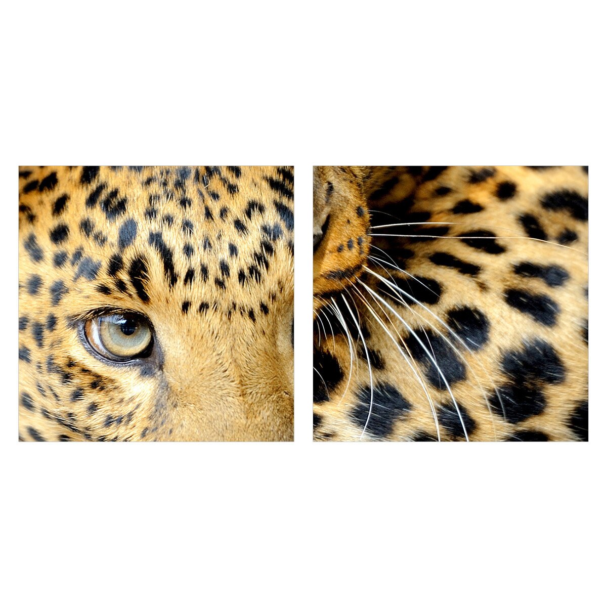 Ceas de perete din sticla 40x40 cm, Pui de Leopard, C3AC40x40-2702 ...