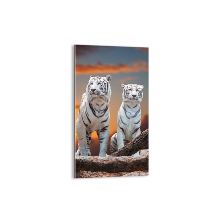 Tablou pe sticla 55x100 cm, Roca Tigru, GPA55x100-2901 - eMAG.ro
