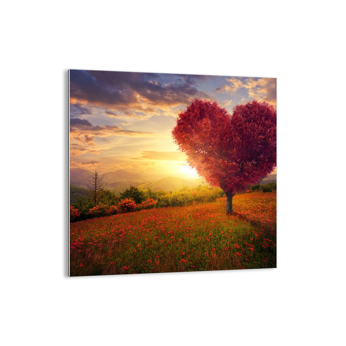 Tablou pe sticla 40x40 cm, Copac Inima Munte, GAC40x40-3790 - eMAG.ro