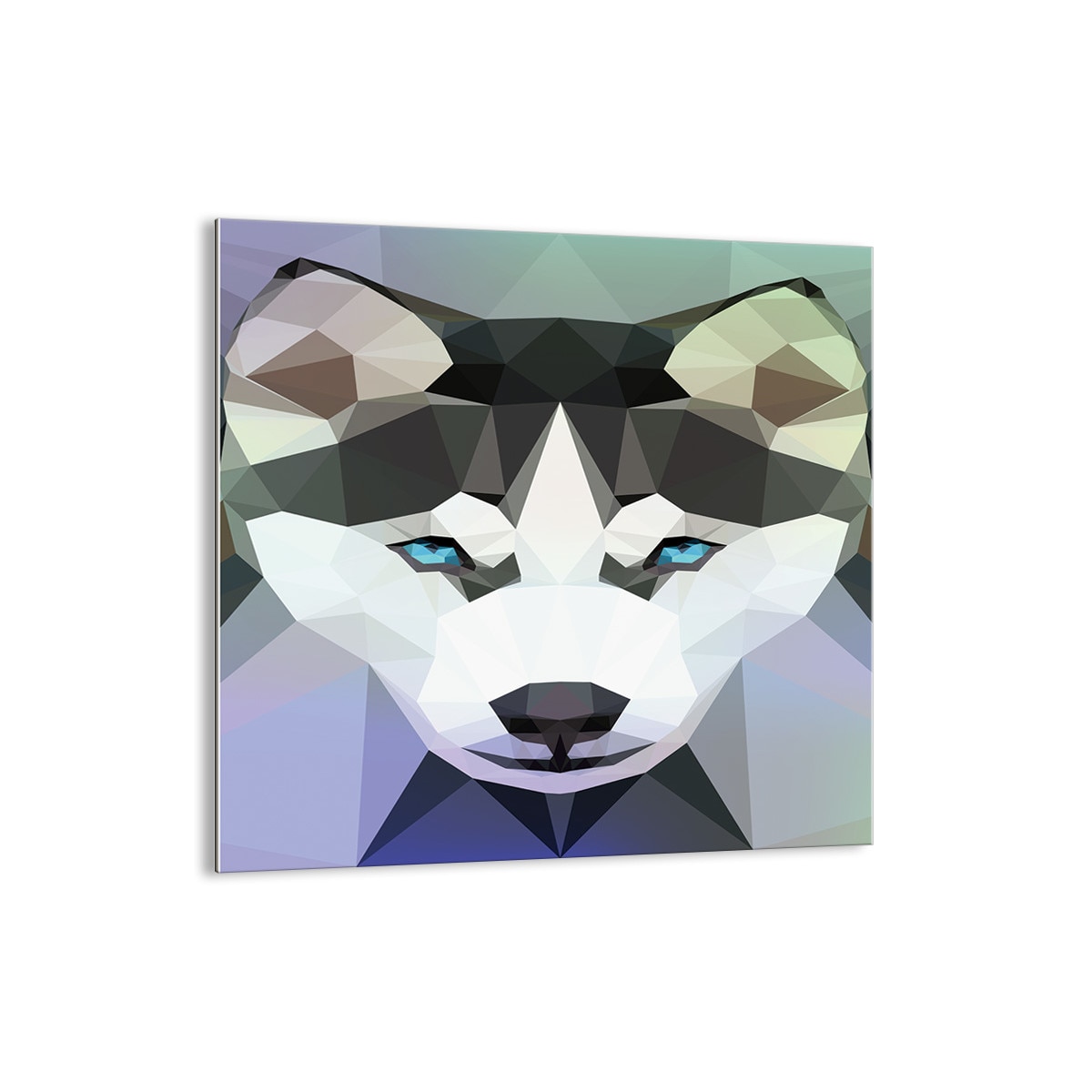 Tablou pe sticla 60x60 cm, Desen Color Lup, GAC60x60-3080 - eMAG.ro