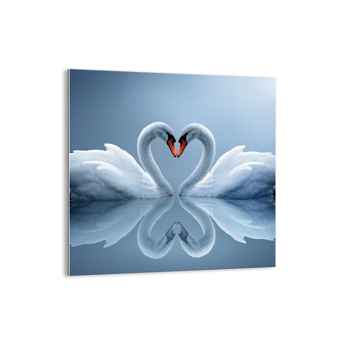 Tablou pe sticla 60x60 cm, Inima De Lebada, GAC60x60-3541 - eMAG.ro