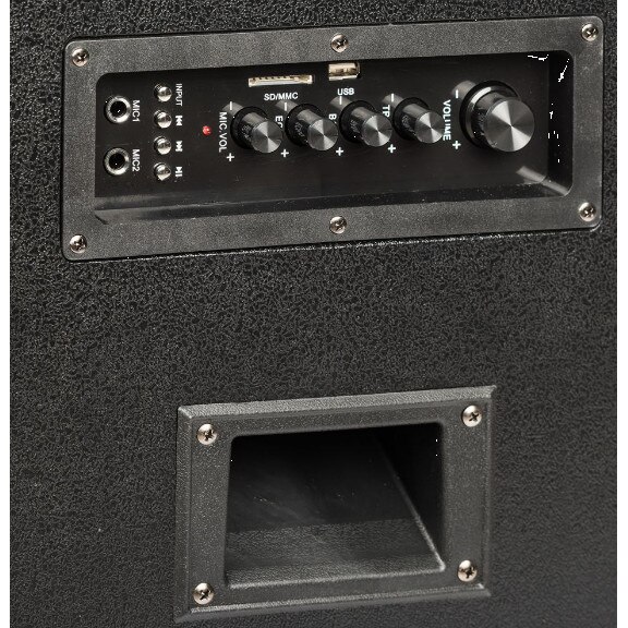 Boxe Active Profesionale P12 - eMAG.ro