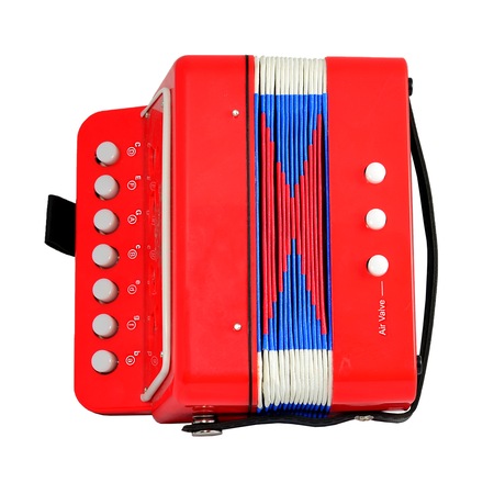 Acordeon pentru copii cu sunete reale - eMAG.ro